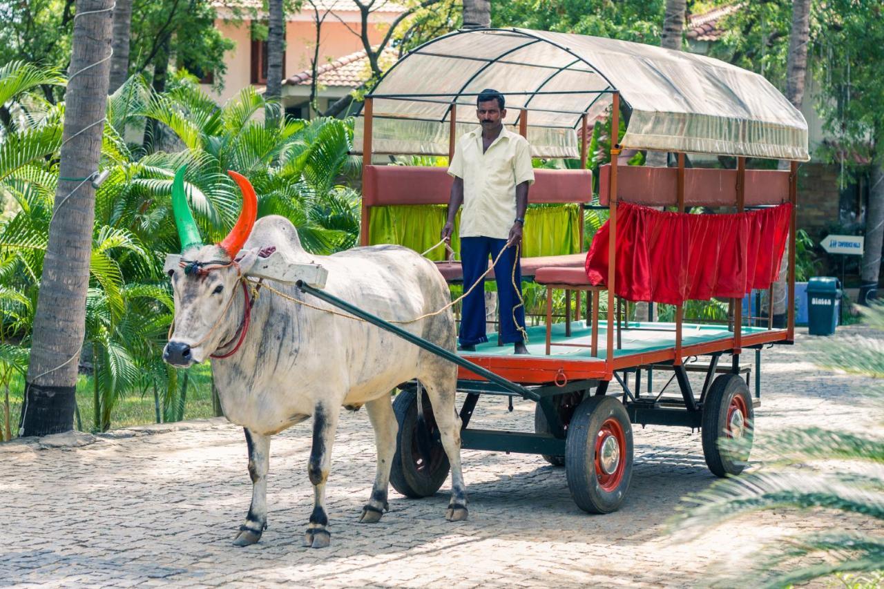 ESTHELL VILLAGE RESORT | ⋆⋆⋆⋆ | MAHABALIPURAM, INDIA | SEASON DEALS ...